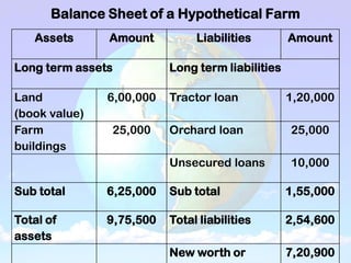 Balance sheet & income statement | PDF