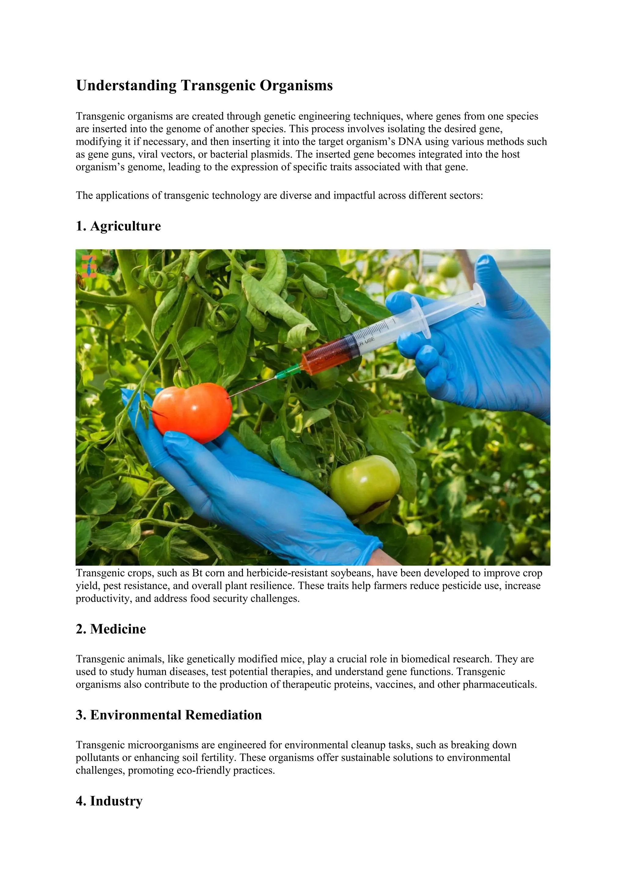Balancing Innovation and Accountability: Transgenic Organisms in ...
