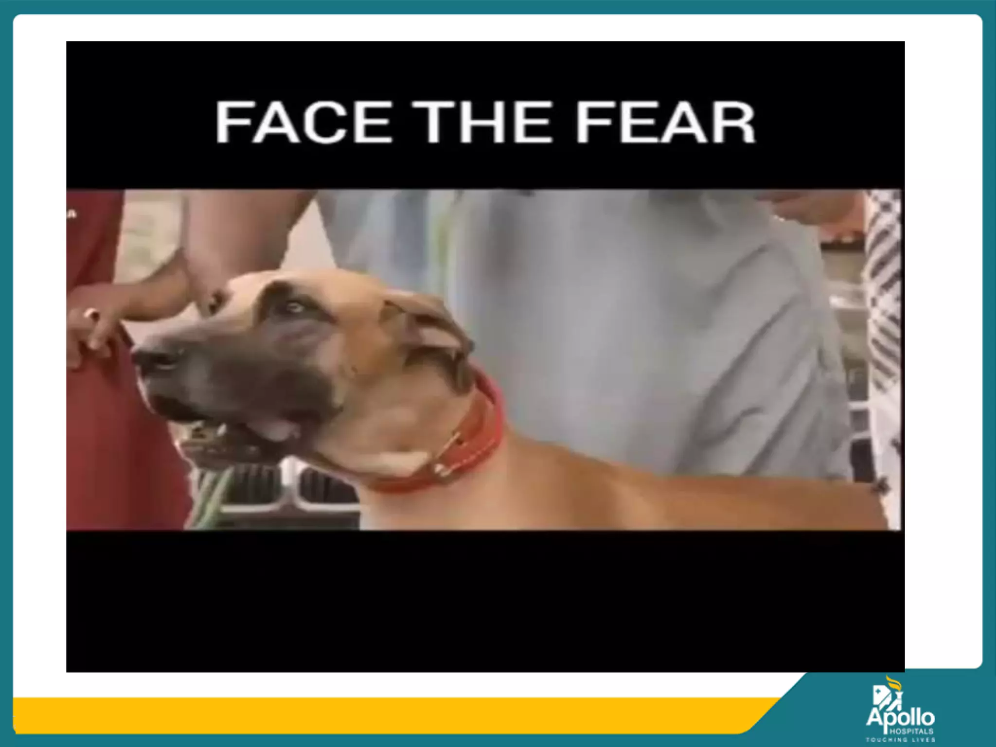 Balancing IQ vs EQ in workplace | PPT