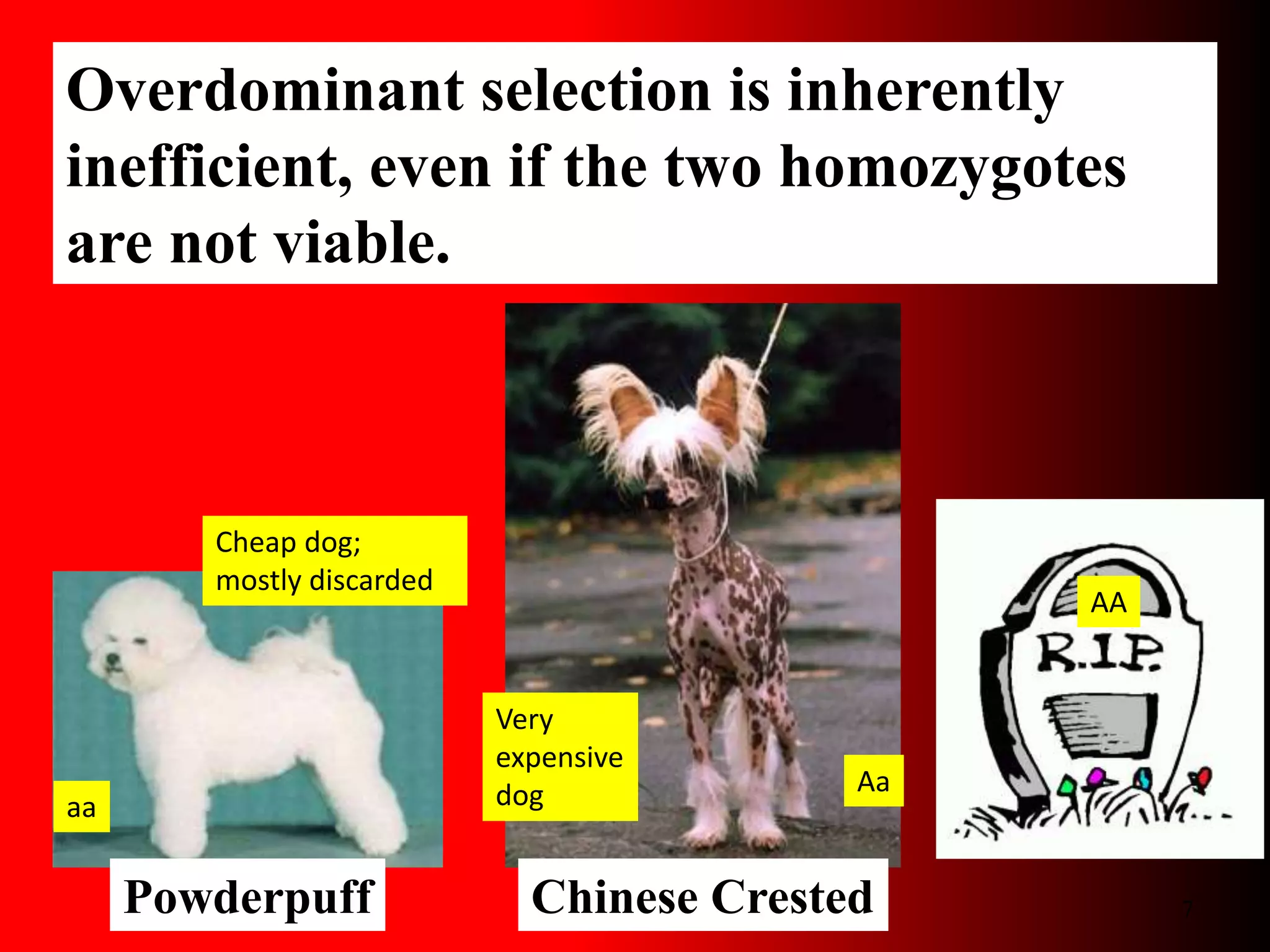 Balancing selection, sickle cell anemia, and the African slave trade as ...