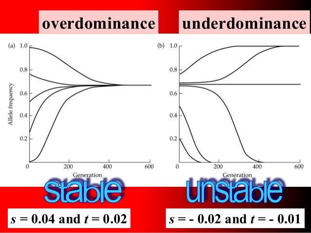 Balancing selection, sickle cell anemia, and the African slave trade
