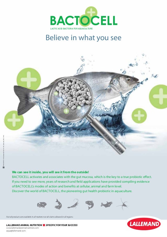 Balancing the pond ecosystem in shrimp farming