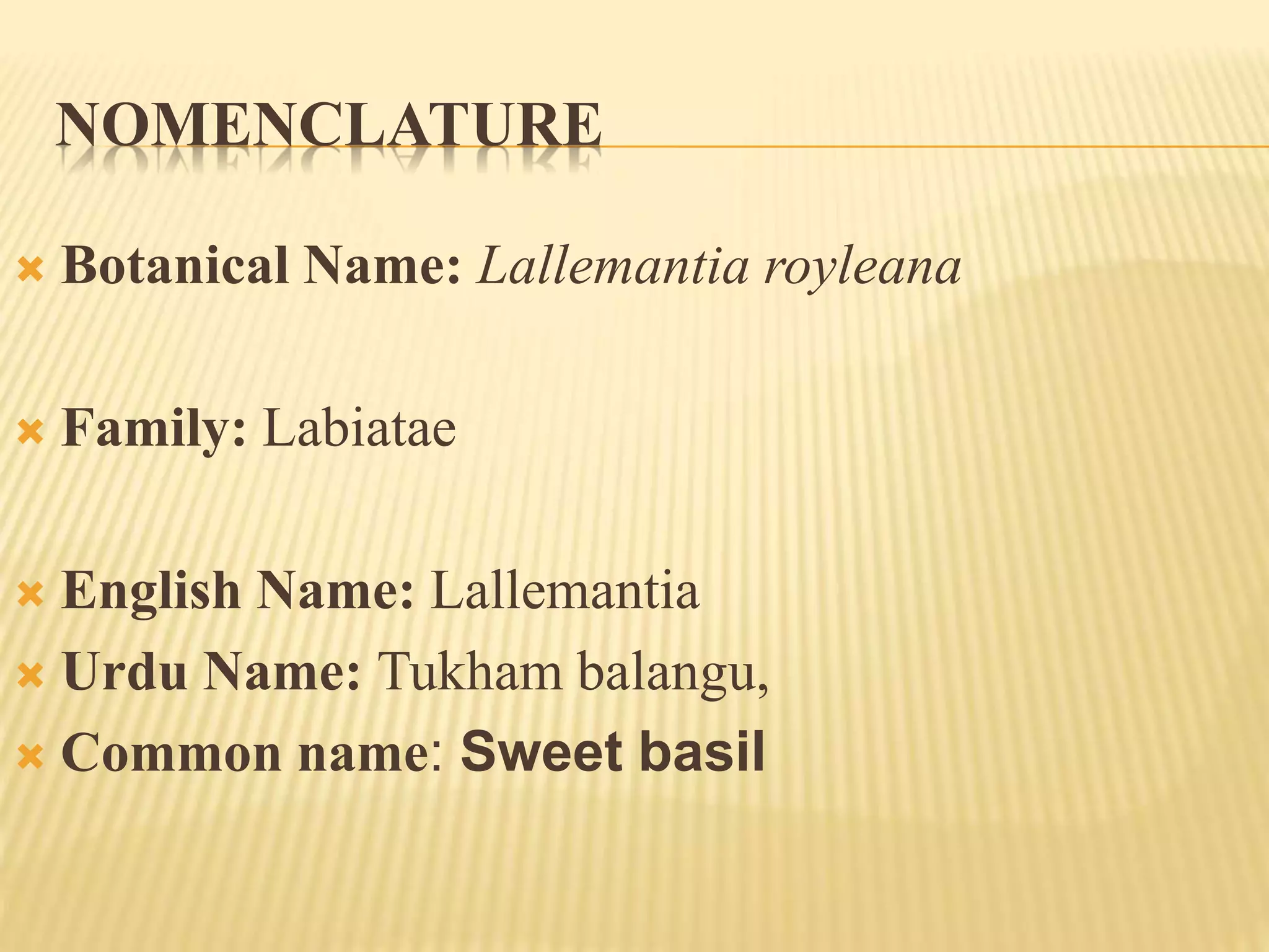 Production Technology of Balango | PPTX