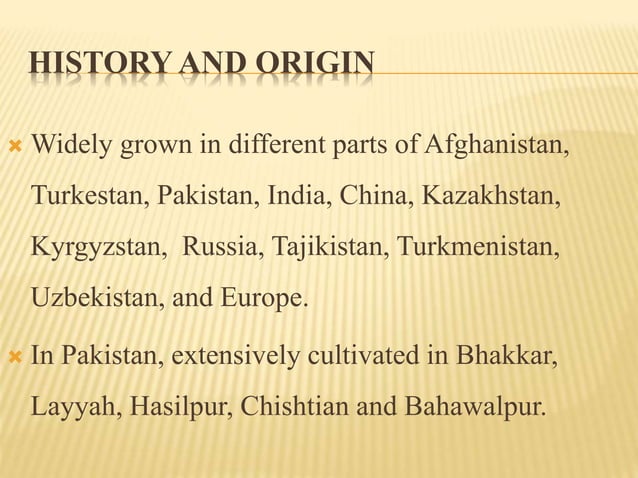 Production Technology of Balango | PPTX | Gardening | Home & Garden