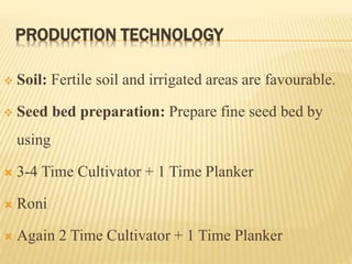 Production Technology of Balango | PPTX