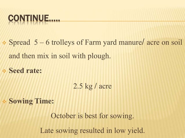 Production Technology of Balango | PPTX | Gardening | Home & Garden