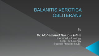 Balanitis Xerotica Obliterans (BXO) / Penile Lichen Sclerosus | PPTX ...