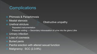 Balanitis Xerotica Obliterans (BXO) / Penile Lichen Sclerosus | PPTX ...