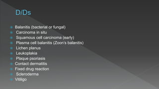 Balanitis Xerotica Obliterans (BXO) / Penile Lichen Sclerosus | PPTX ...