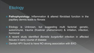 Balanitis Xerotica Obliterans (BXO) / Penile Lichen Sclerosus | PPTX ...