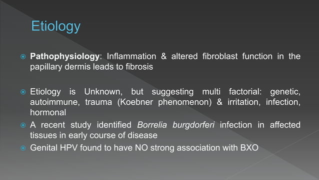 Balanitis Xerotica Obliterans (BXO) / Penile Lichen Sclerosus | PPTX ...