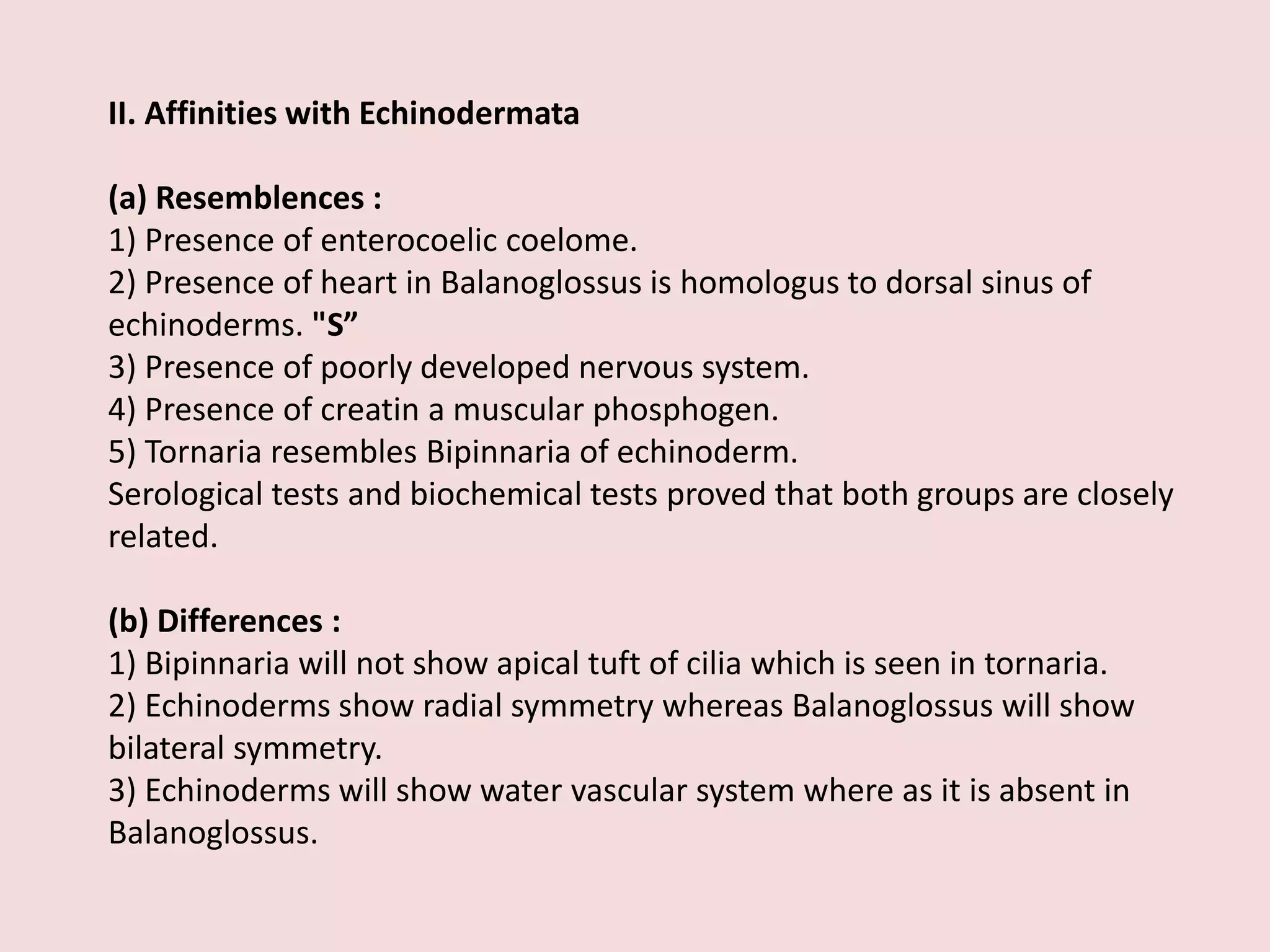 Balanoglossus-Morphology structure, development , larva ,Affinities | PPTX