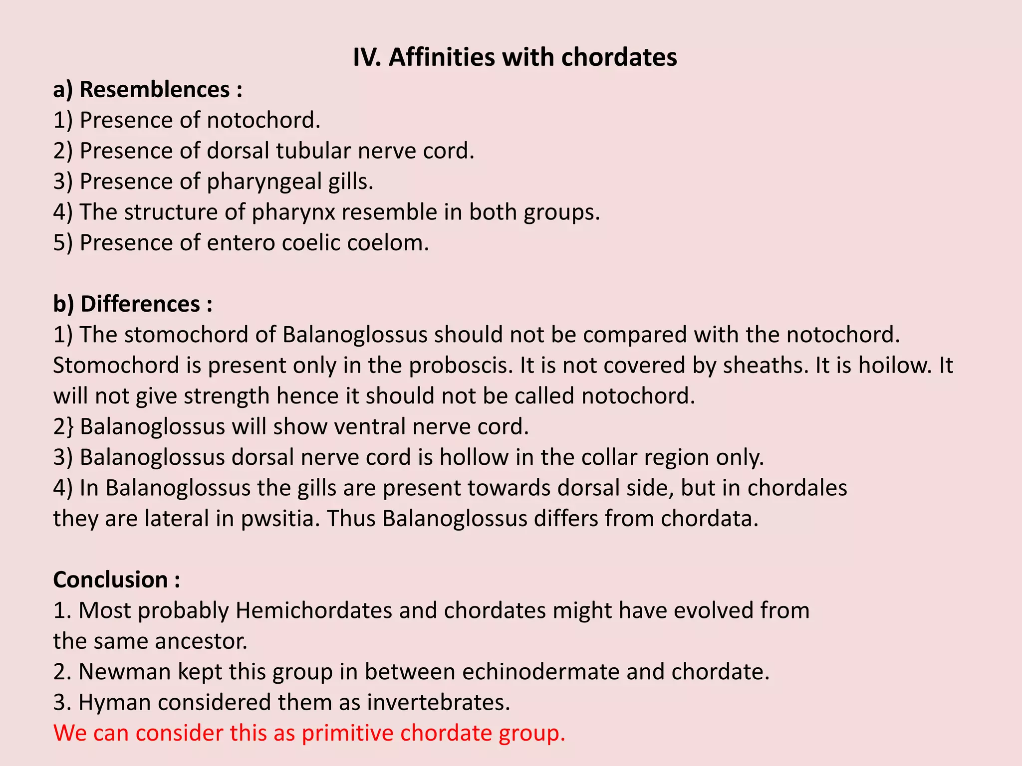 Balanoglossus-Morphology structure, development , larva ,Affinities | PPTX