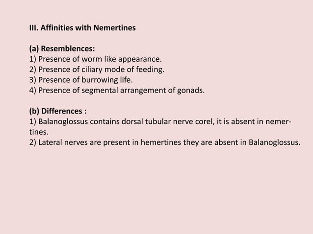 Balanoglossus-Morphology structure, development , larva ,Affinities | PPTX