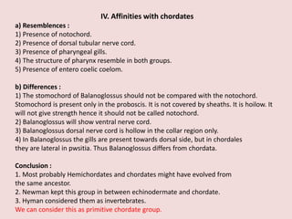 Balanoglossus-Morphology structure, development , larva ,Affinities | PPTX