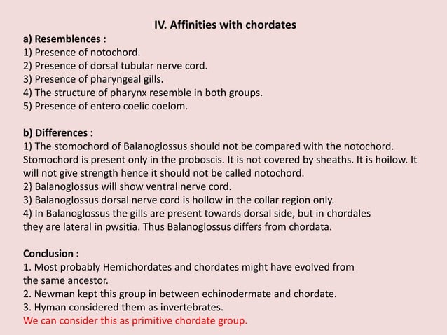 Balanoglossus-Morphology structure, development , larva ,Affinities | PPTX