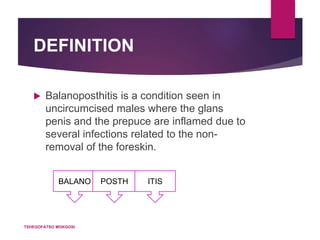 Balanoposthitis | PPTX