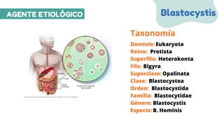 Balantidiasis.pdf