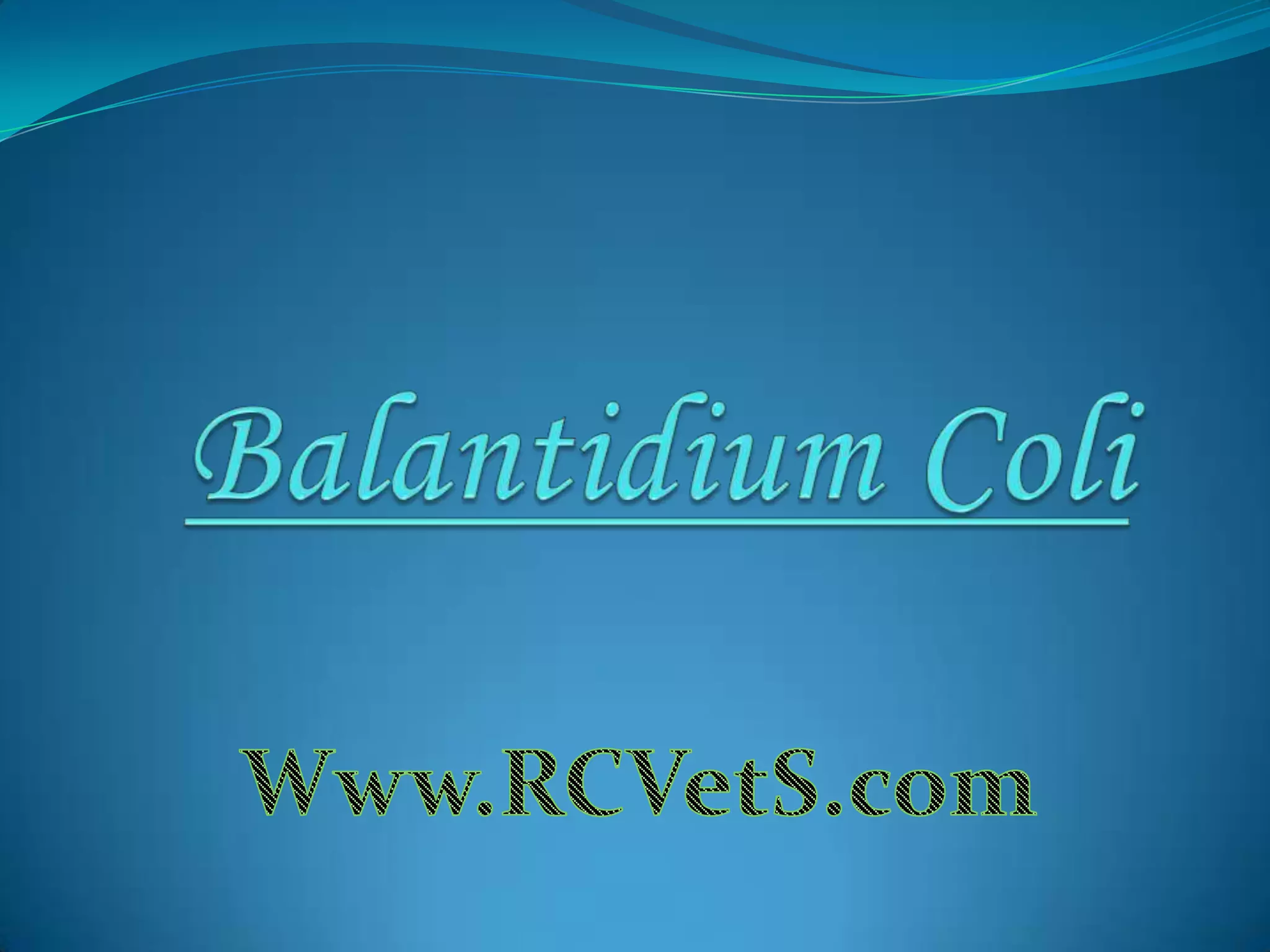 Balantidium Coli | PPTX
