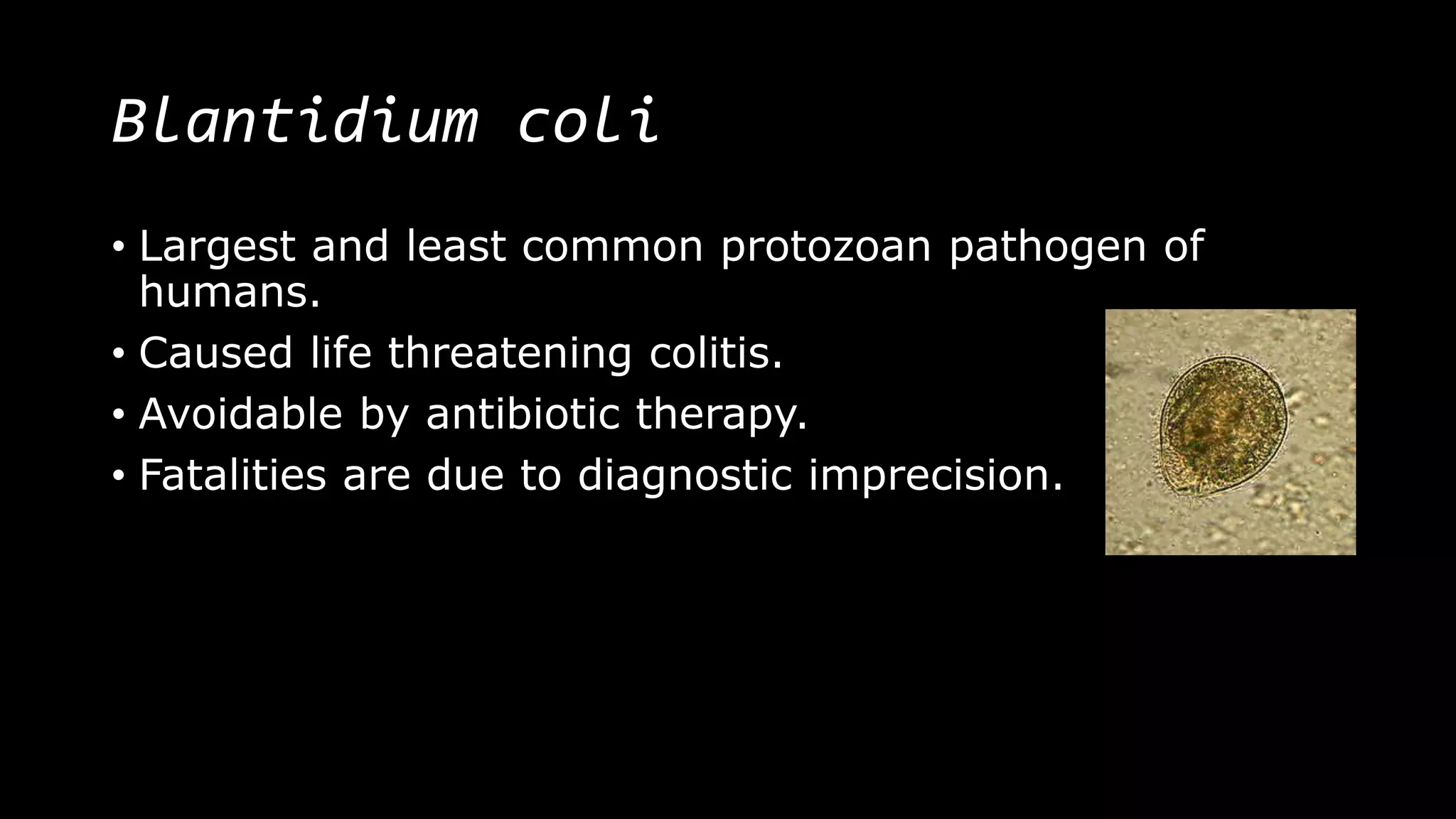 Balantidium coli | PPTX
