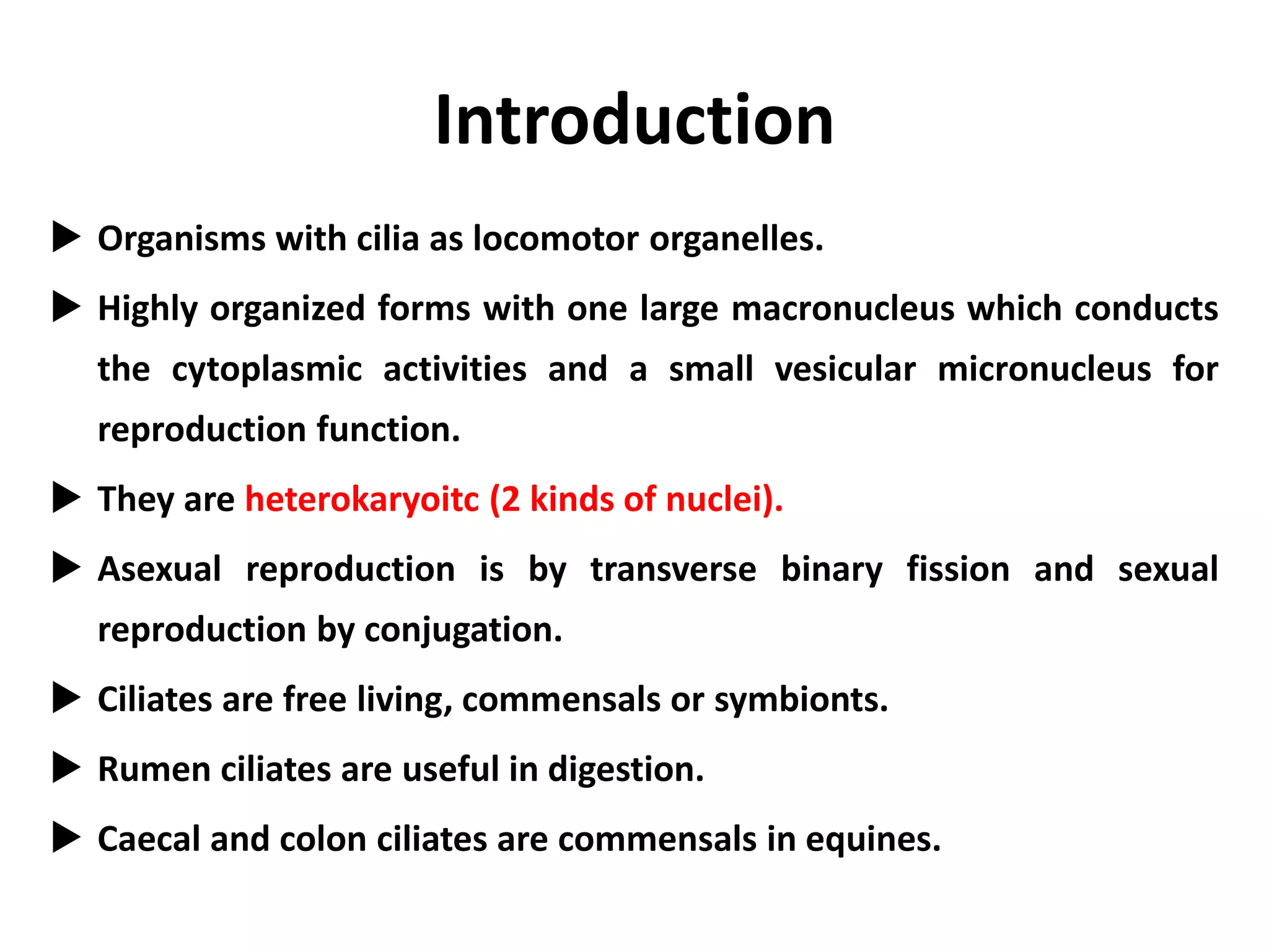 Balantidium coli.pptx