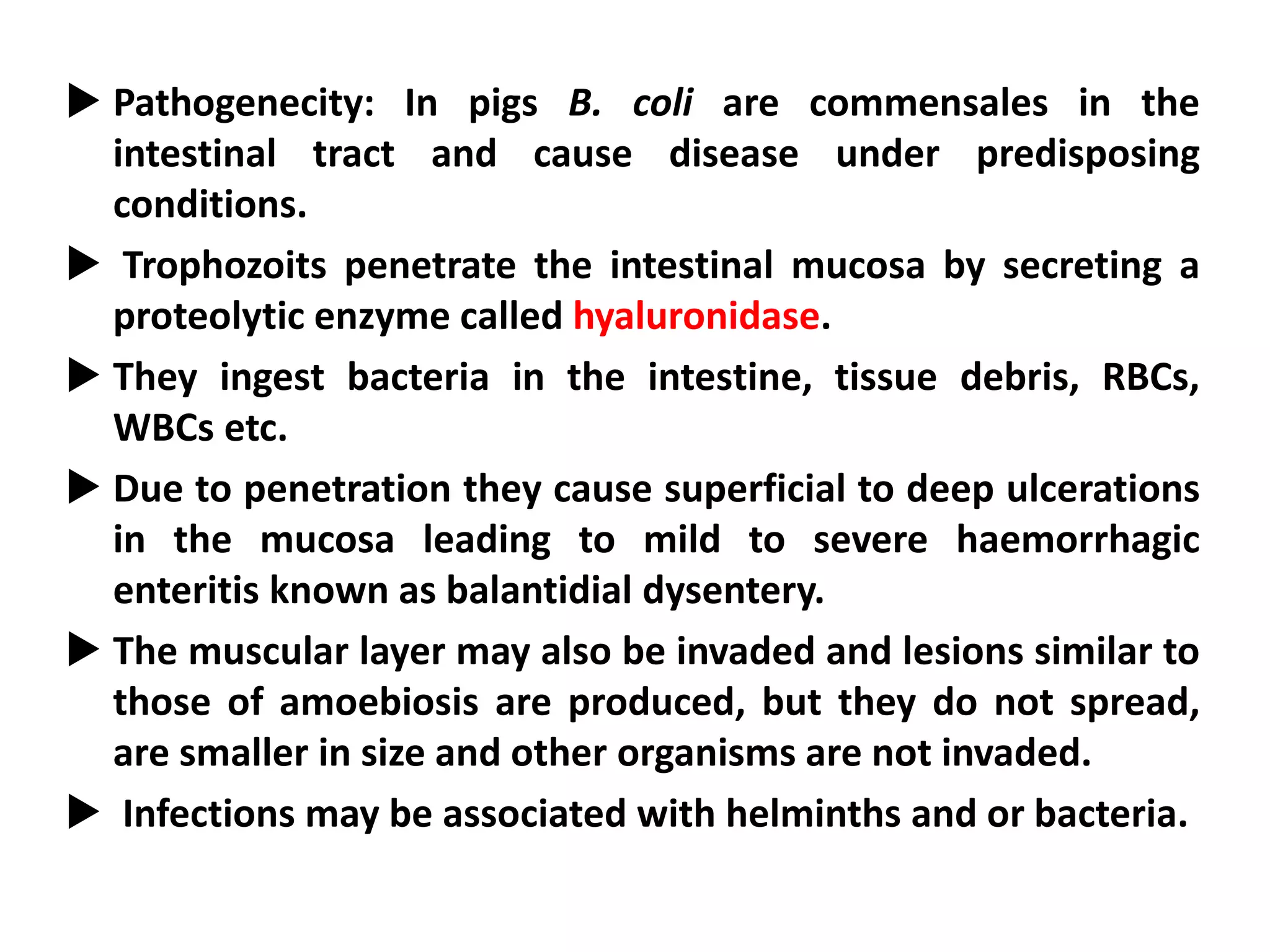 Balantidium coli.pptx