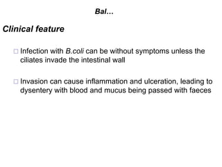 BALANTIDIUM COLI.ppt