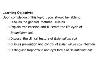 BALANTIDIUM COLI.ppt