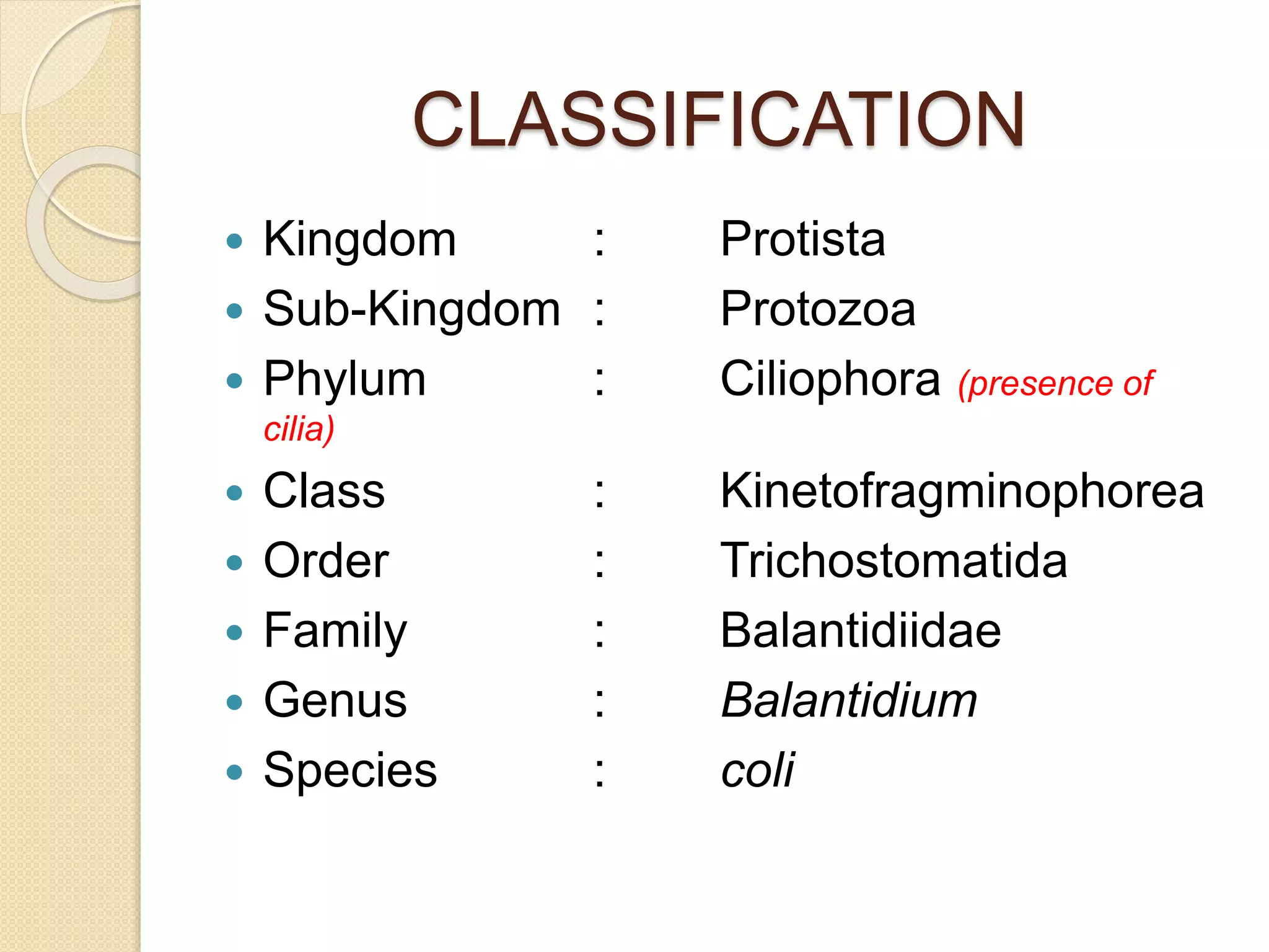 Balantidium coli | PPTX