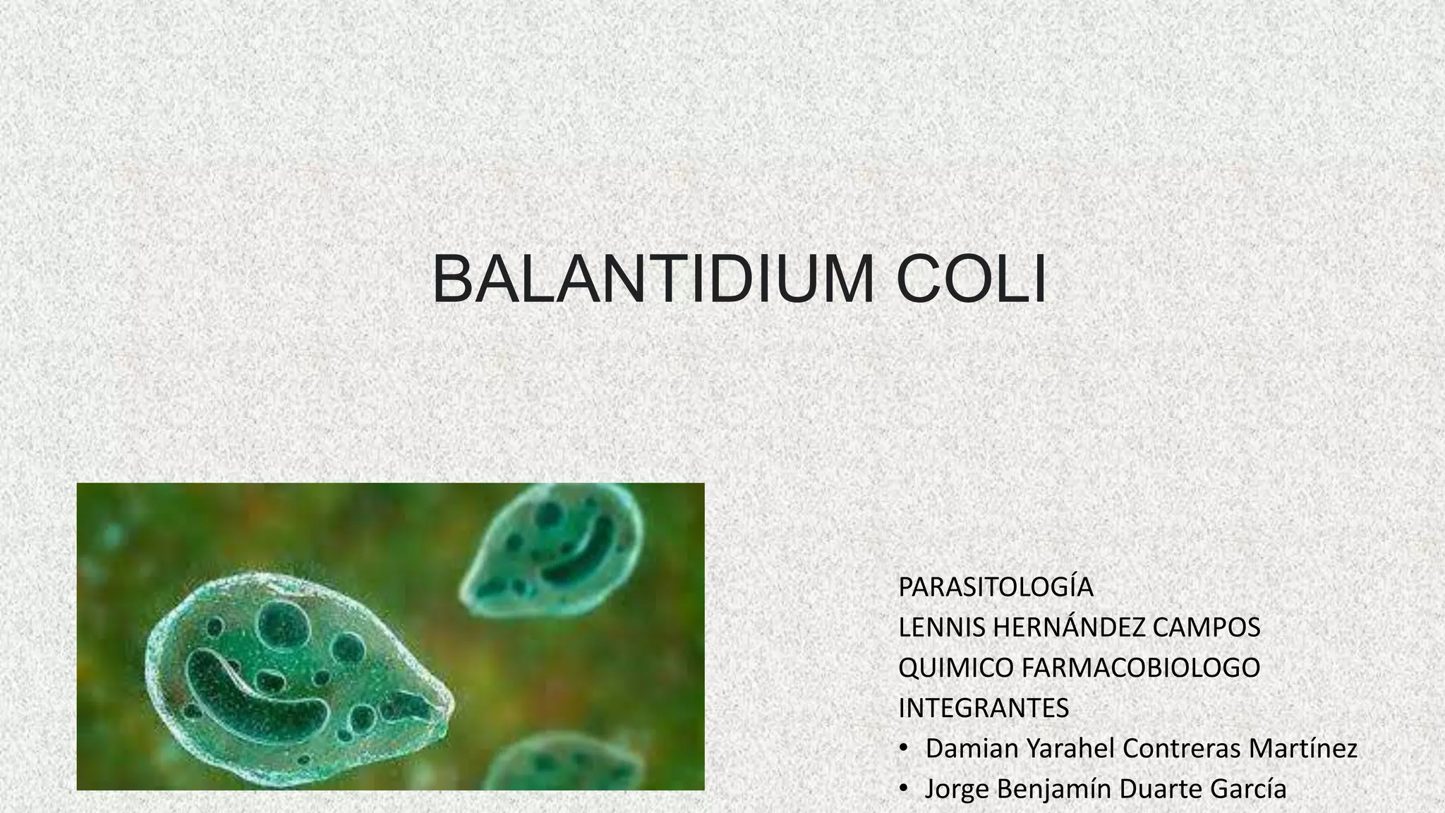 Balantidium coli diapositivas | PPTX