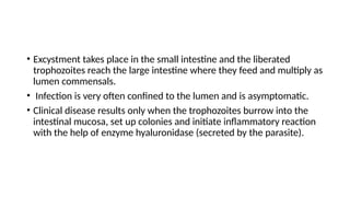 A presentation on a protozoan Balantidium coli | PPT