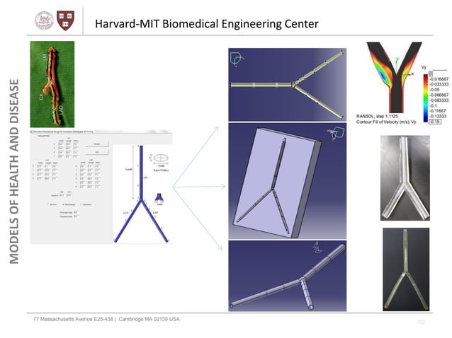 Balcells, Mercedes - Innovation at MIT: Examples of translational research and ...