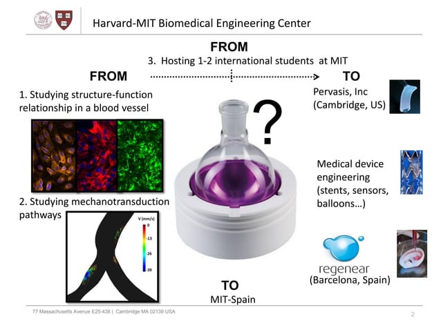 Balcells, Mercedes - Innovation at MIT: Examples of translational ...