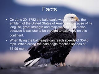 Tyler Aughney, Bald Eagle, Period 0 | PPT