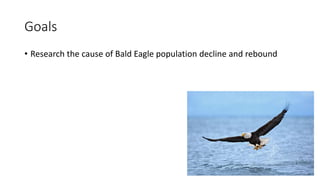 Bald eagle case study | PPTX