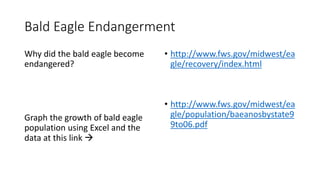 Bald eagle case study | PPTX