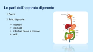 Baldini e Bernacchia 3BL | PPT