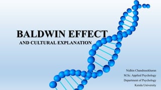 Baldwin effect and cultural explanation | PPT