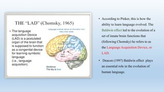 Baldwin effect and cultural explanation | PPT