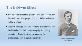 Baldwin effect and cultural explanation | PPT
