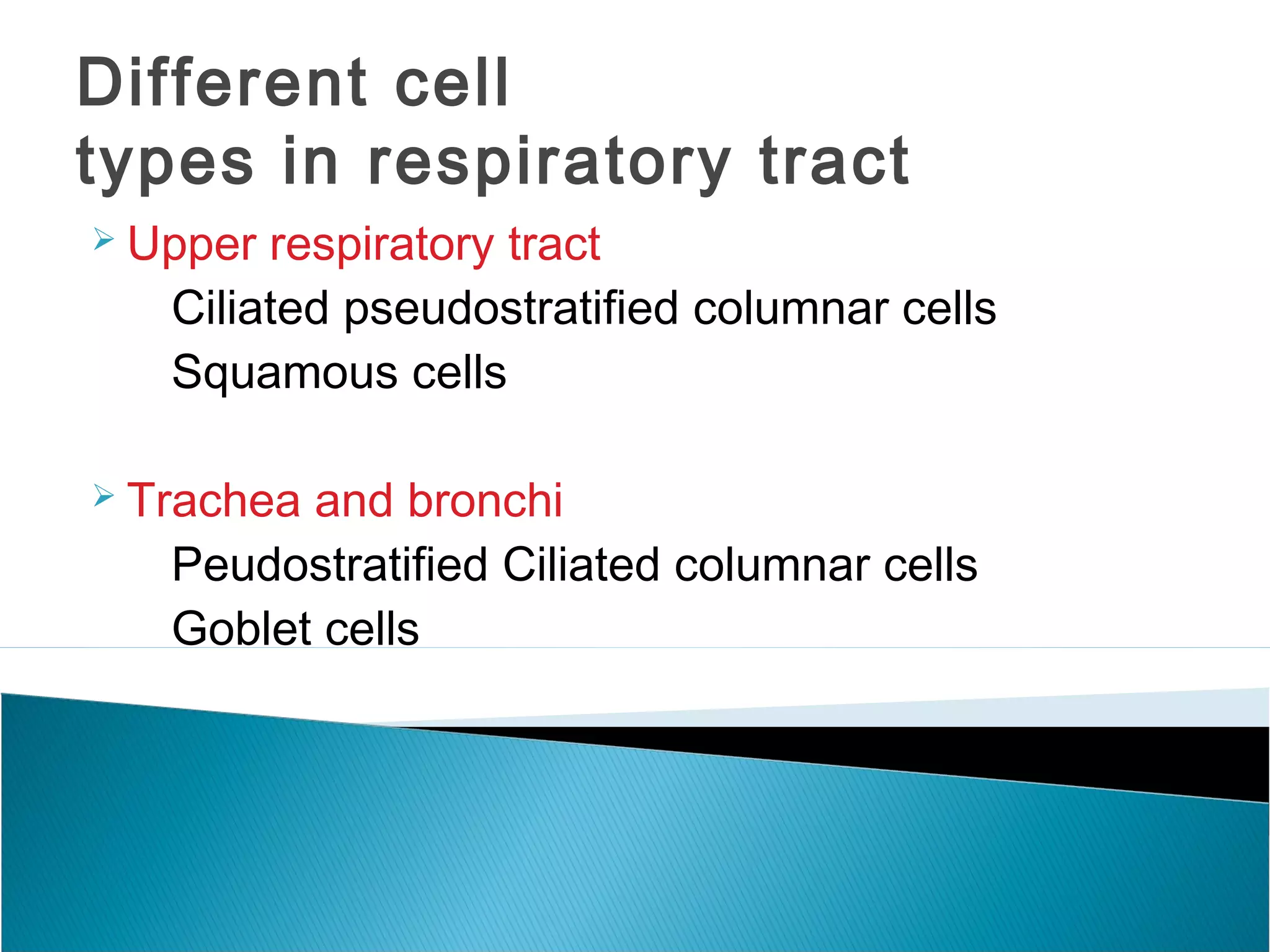 Bal fluid analysis | PPT