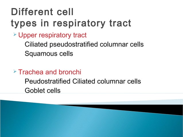 Bal fluid analysis | PPT | Lung and Respiratory Health | Diseases and ...