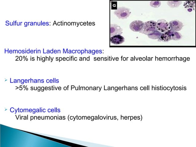 Bal fluid analysis | PPT | Lung and Respiratory Health | Diseases and ...
