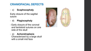 Oral Biology | PPTX