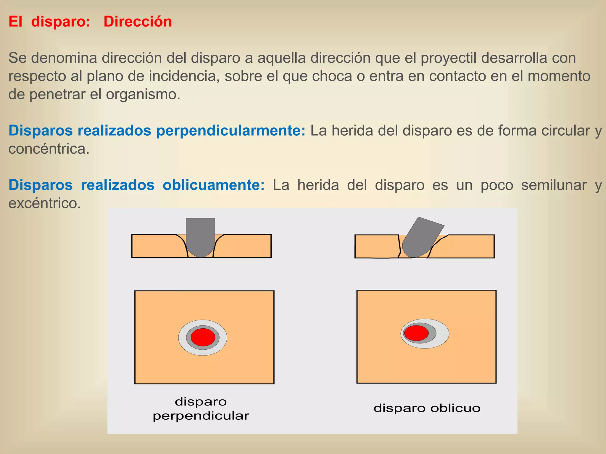 Balistica De Efectos Pptx Arms Ammunition Sensitive Topics