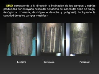 Balistica de laboratorio | PPT