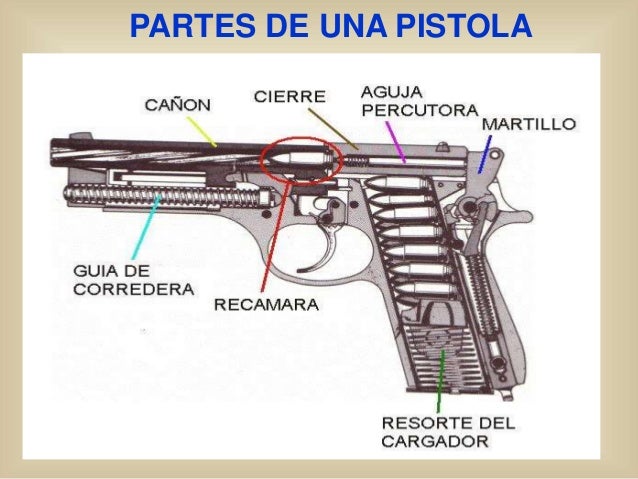 Criminalistica: Balistica Forense