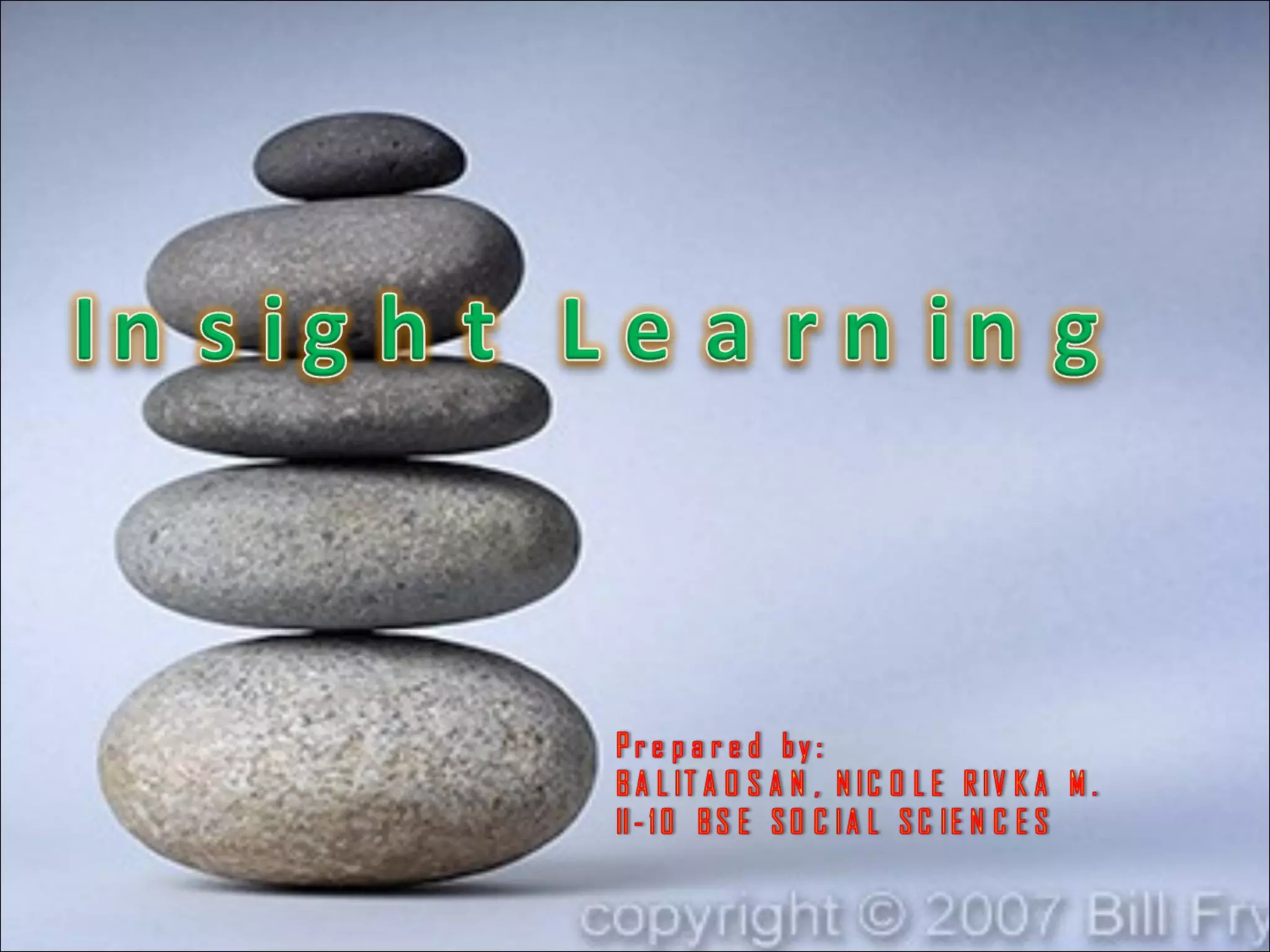 Insight learning | PPT
