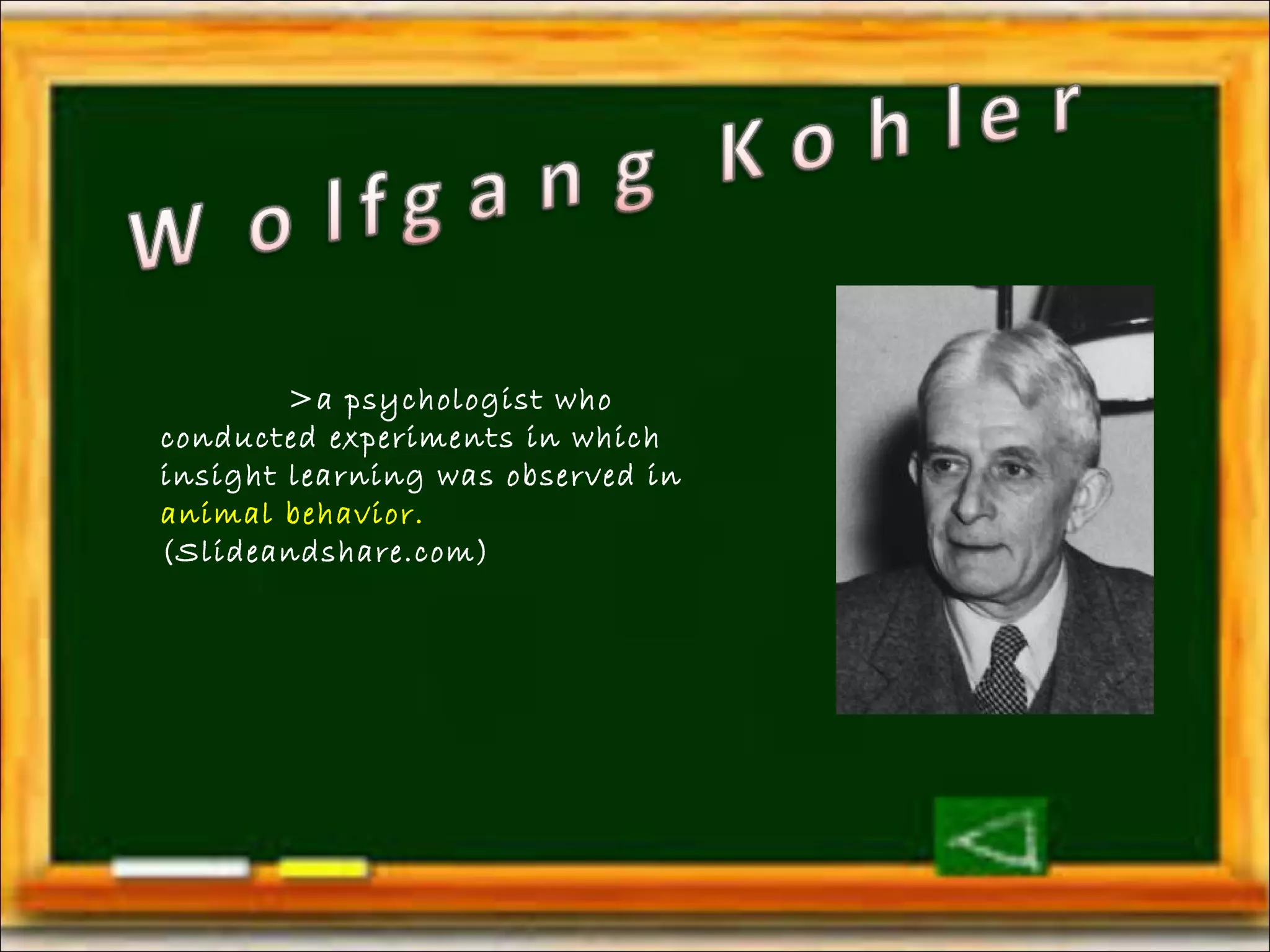 Insight learning | PPT