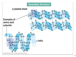 B'al keratinases | PPTX